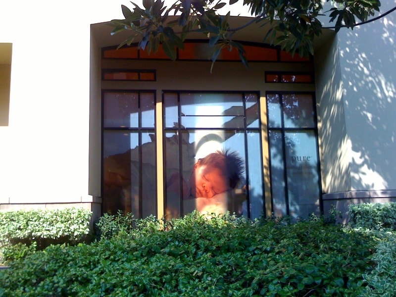 Storefront Window Film