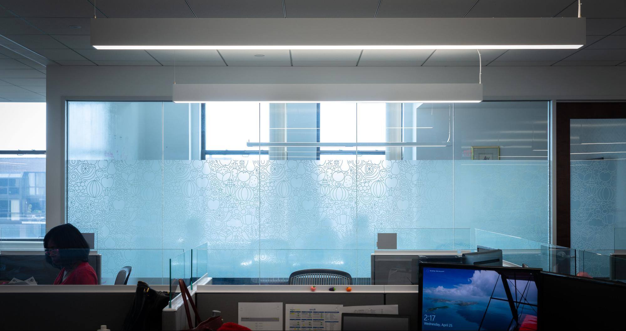 The LINTEC Guide to Selecting & Installing Film for Windows