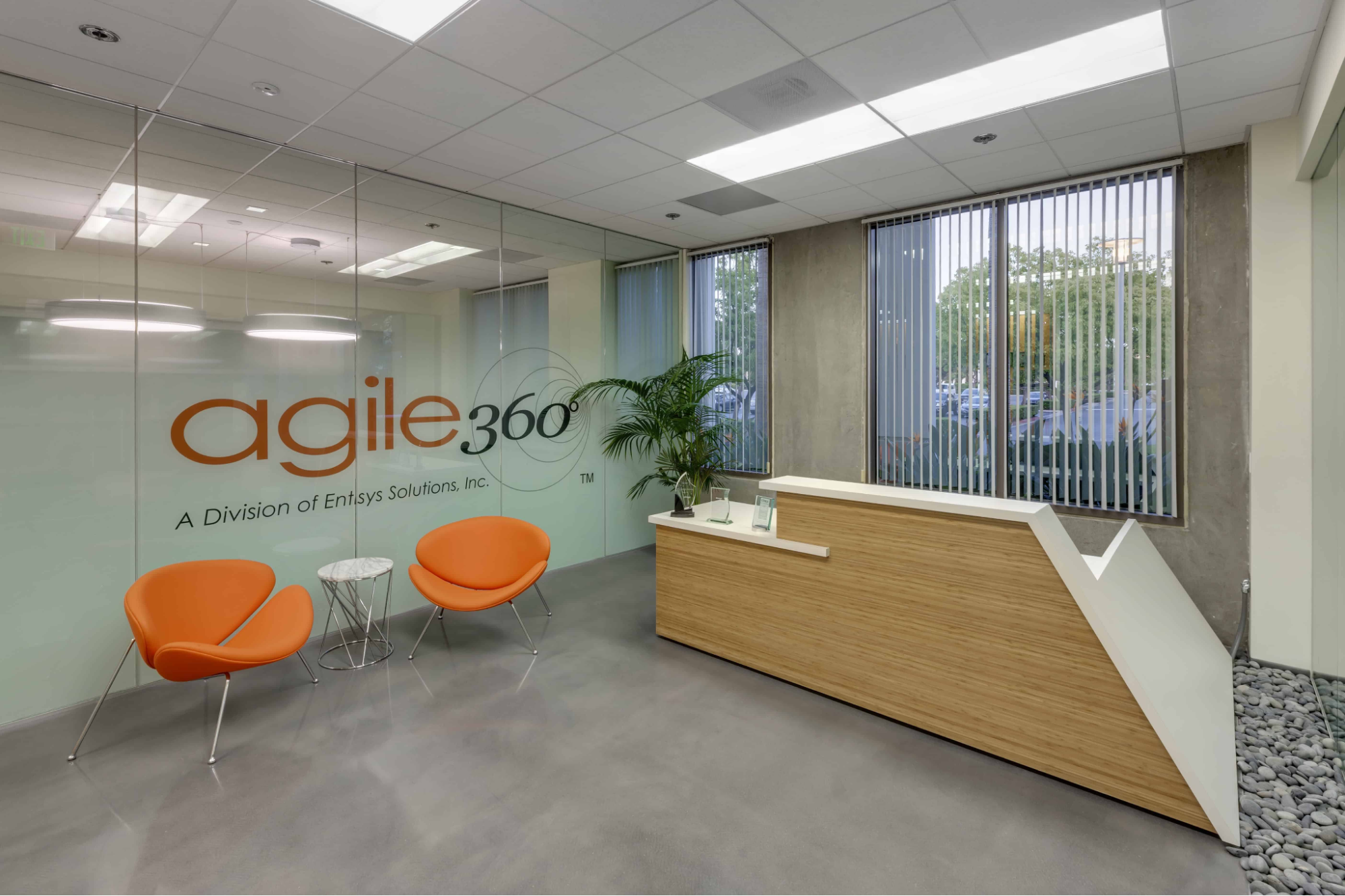 Your Guide to Sign Shop Success With Printable Window Films